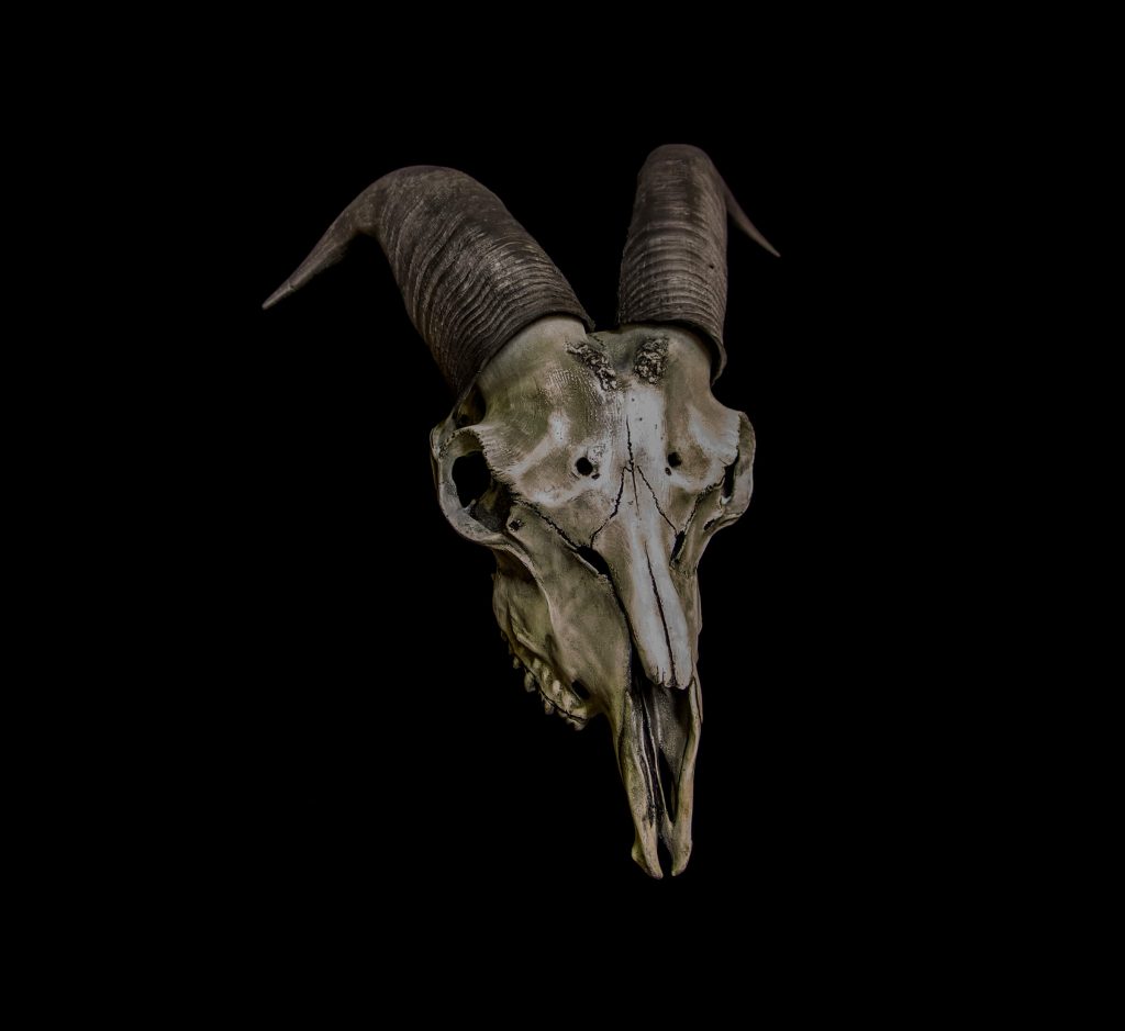 Goat Skull Baphomet Mask - Ministry of Masks