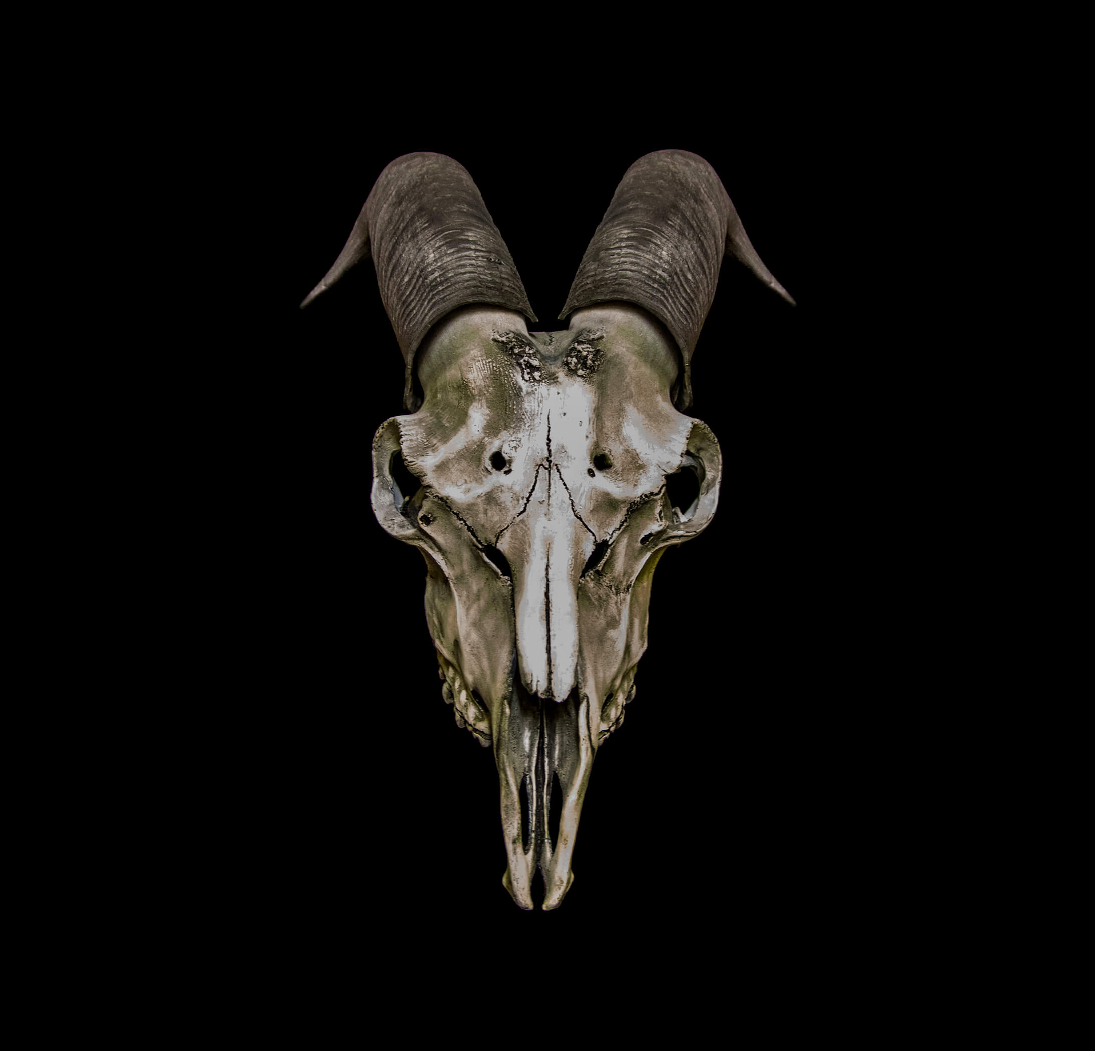 Goat Skull Baphomet Mask Ministry Of Masks