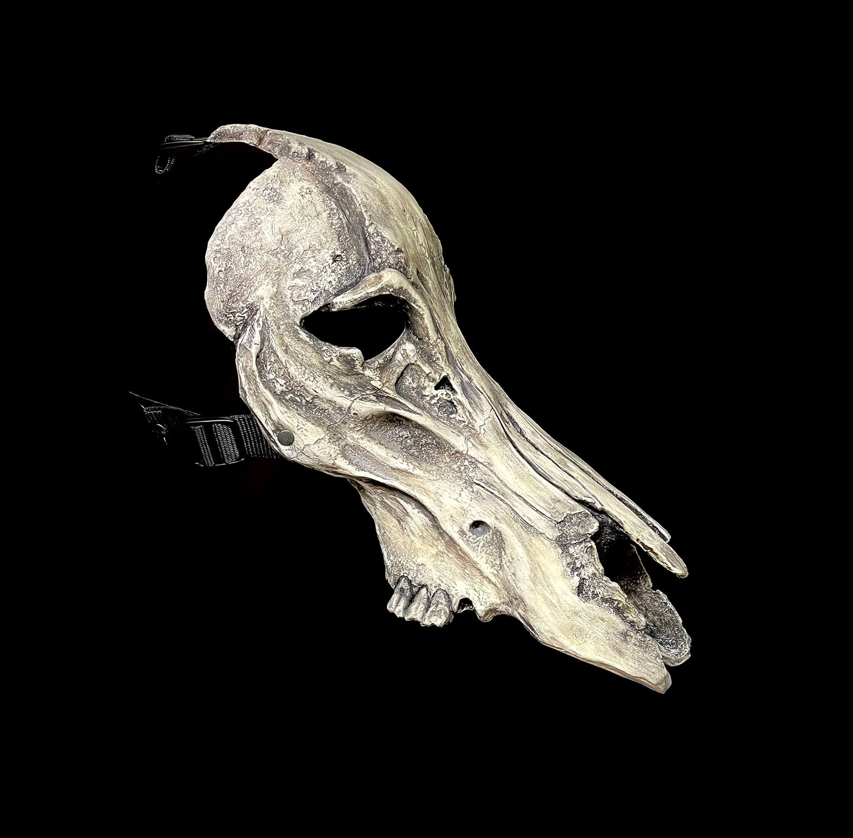 Boar Skull Mask - Ministry of Masks