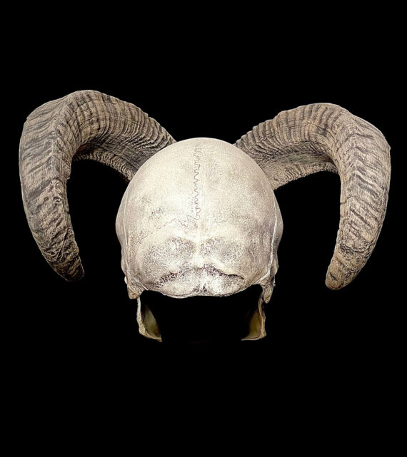 Tim the Enchanter - Ministry of Masks