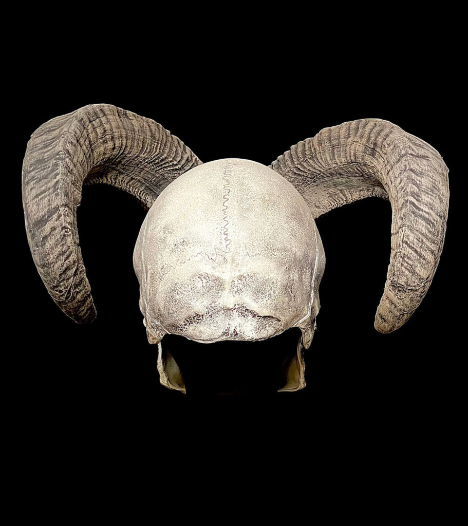 Tim the Enchanter - Ministry of Masks